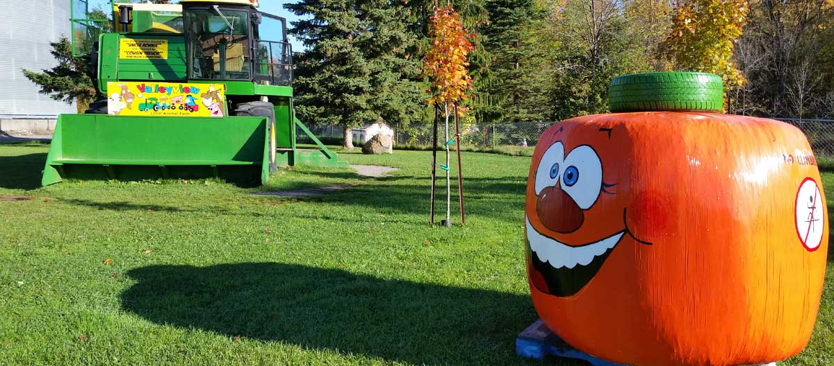 Field Trips at Valleyview Little Animal Farm | Ottawa, ON