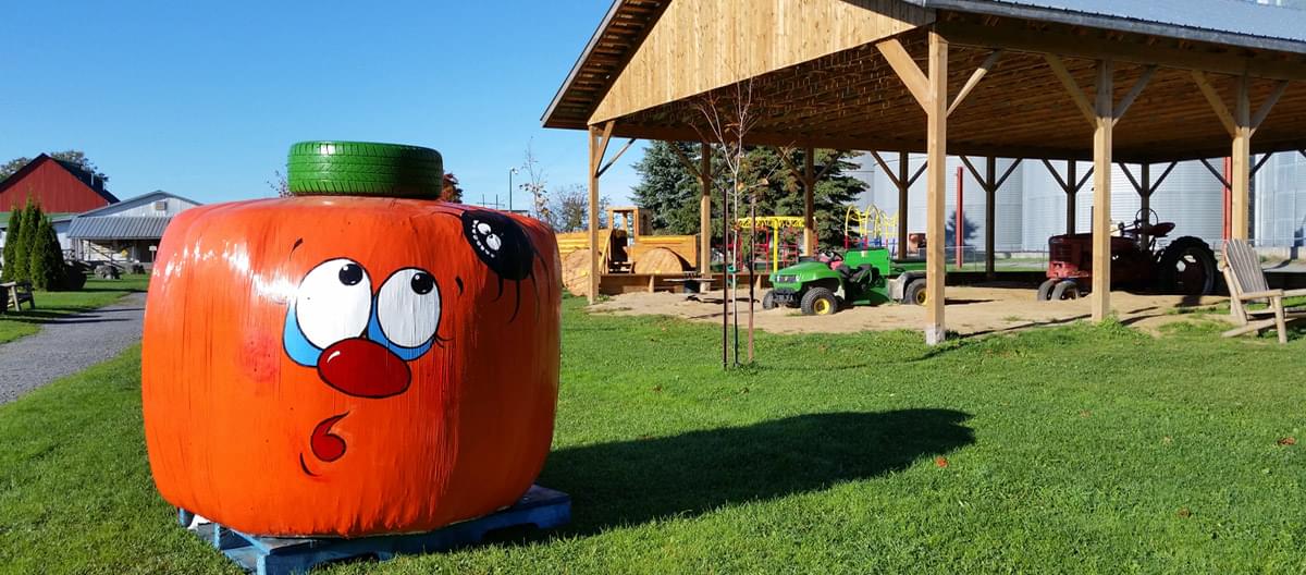 Frequent Visitors Pass - Valleyview Little Animal Farm | Ottawa, ON