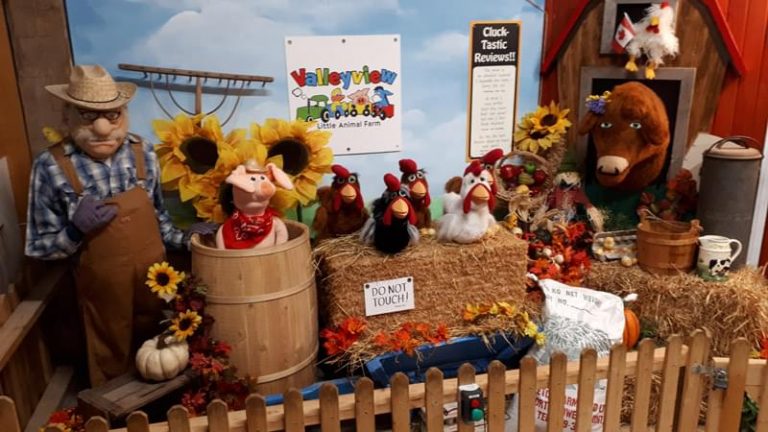 Welcome to Valleyview Little Animal Farm in Ottawa, Ontario