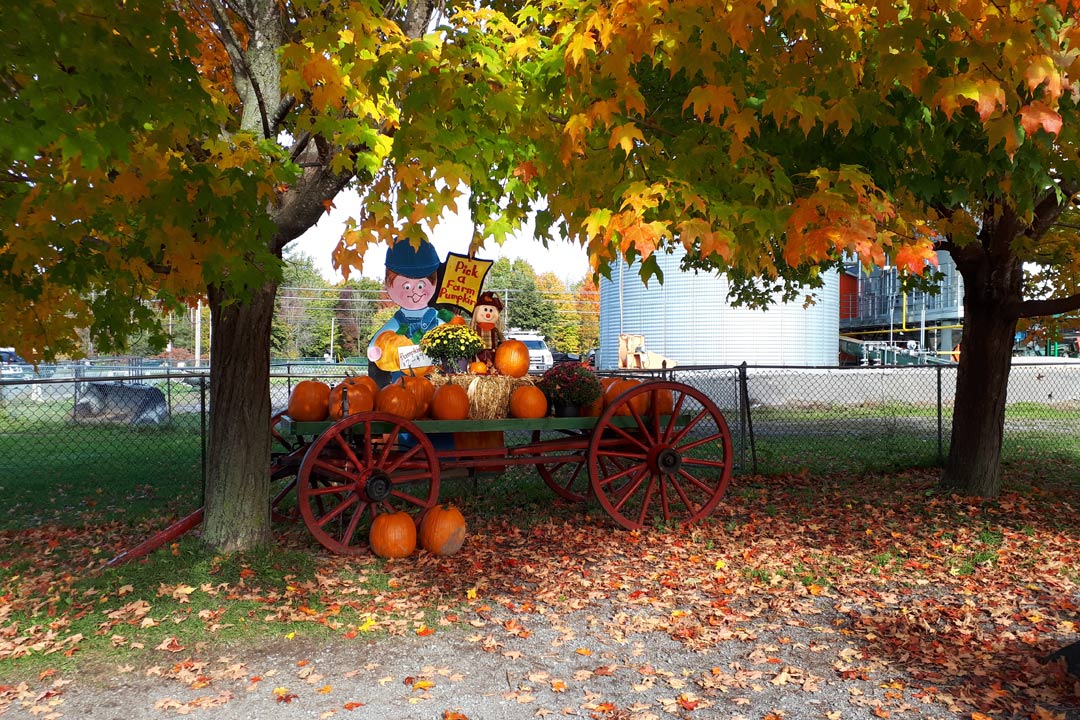 Frequent Visitors Pass - Valleyview Little Animal Farm | Ottawa, ON